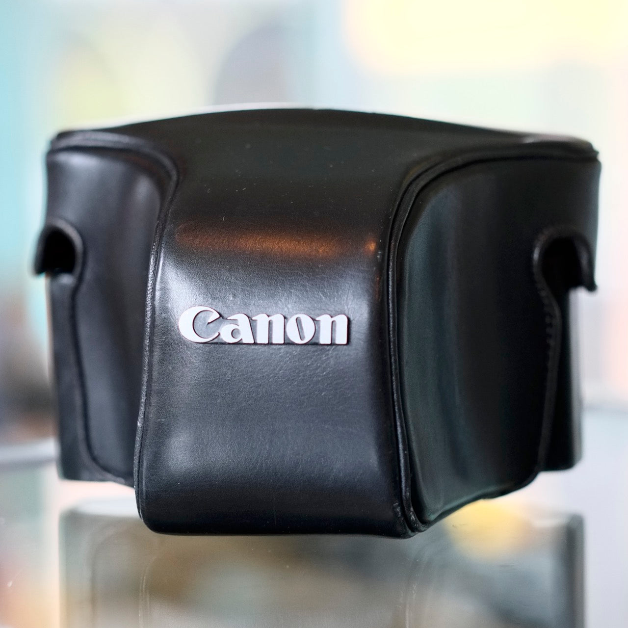 Everready case for Canon F-1 – Camera Traders
