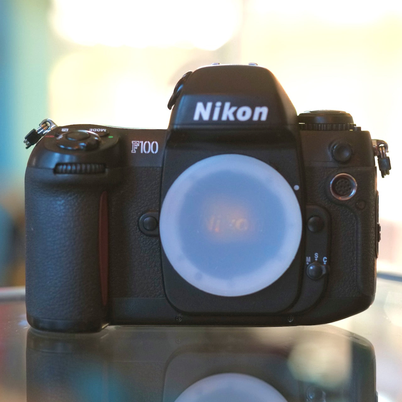 Nikon F100 – Camera Traders