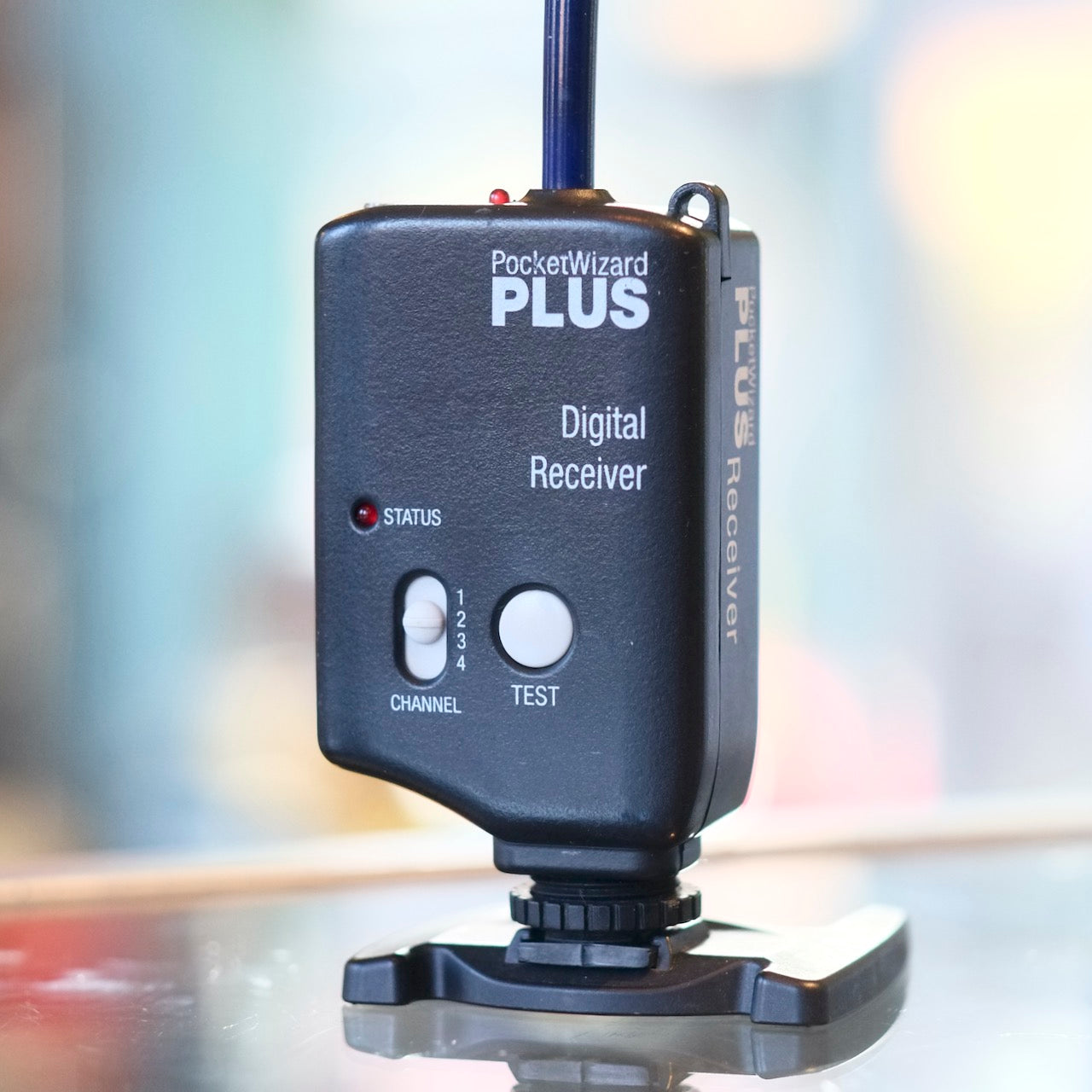 Pocketwizard Plus Receiver – Camera Traders